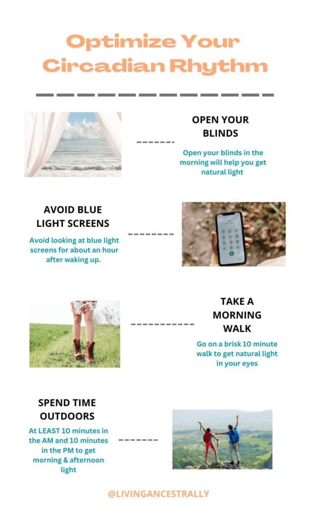 Optimizing Your Circadian Rhythm For Better Energy