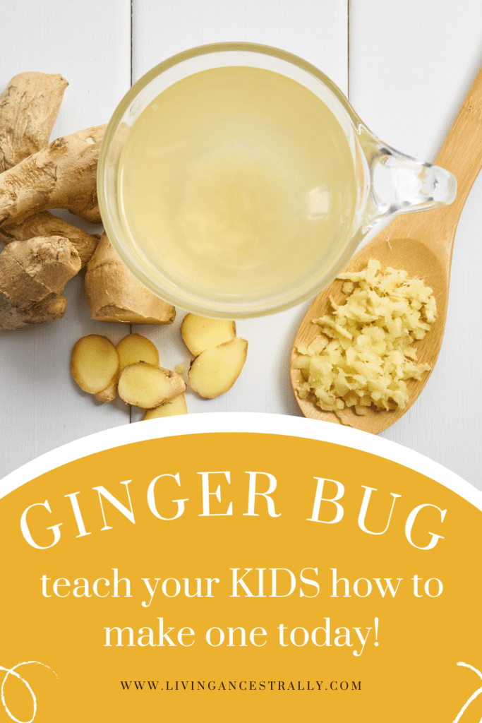 Learn to Make A Ginger Bug With Your Kids! | Living Ancestrally