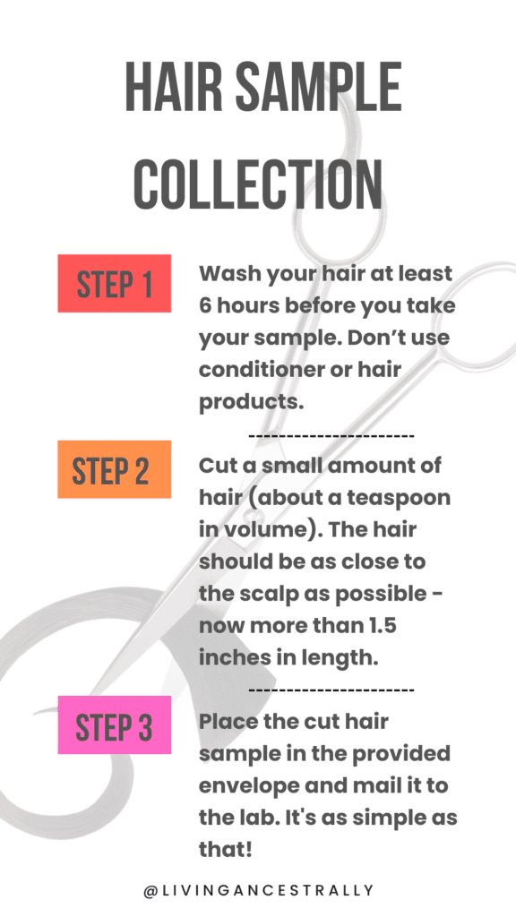 Check Heavy Metals With A Hair Tissue Mineral Analysis (HTMA)
